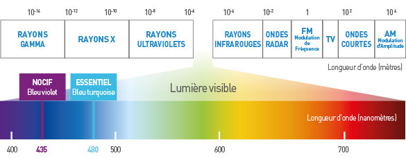 Blue Clear – Novacel Optical